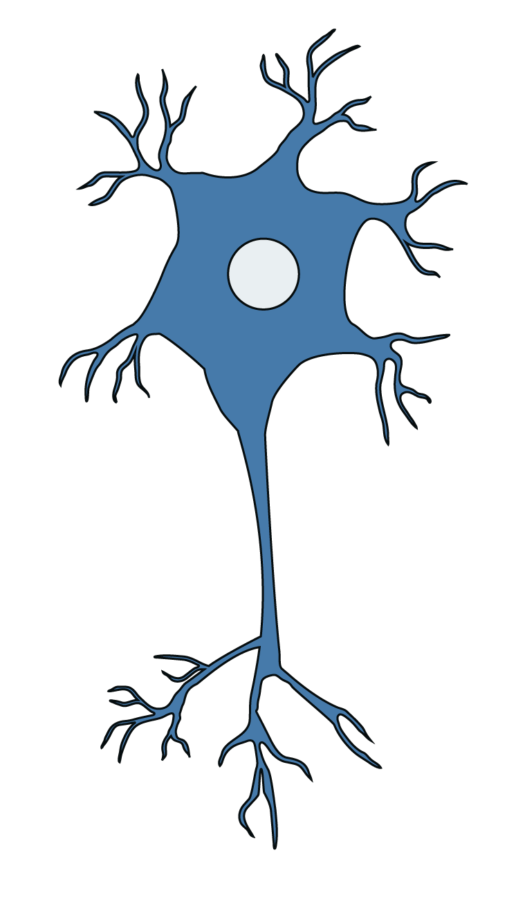 Neuronal Markers | Antibodies.com