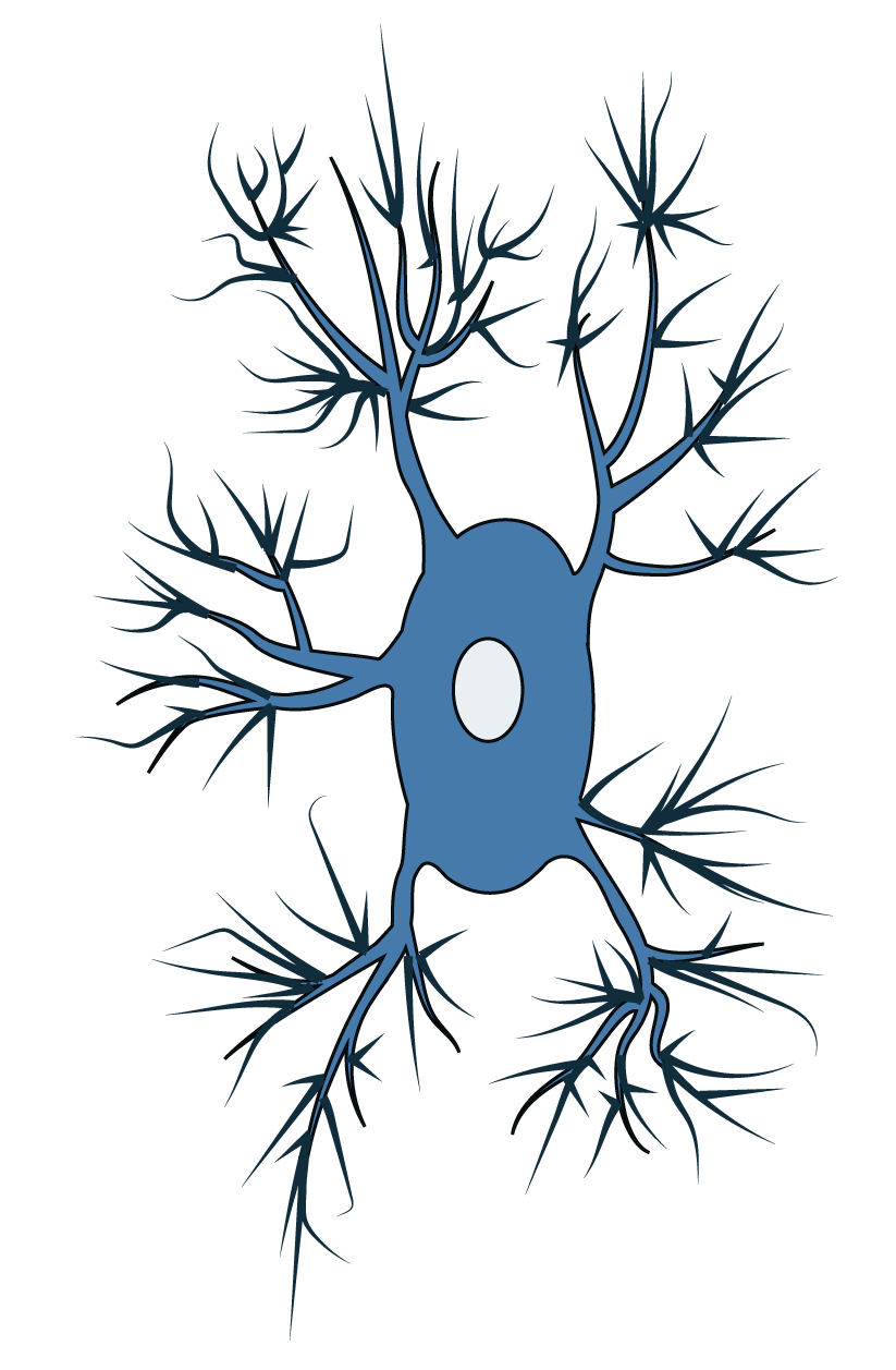 Microglia Markers | Antibodies.com